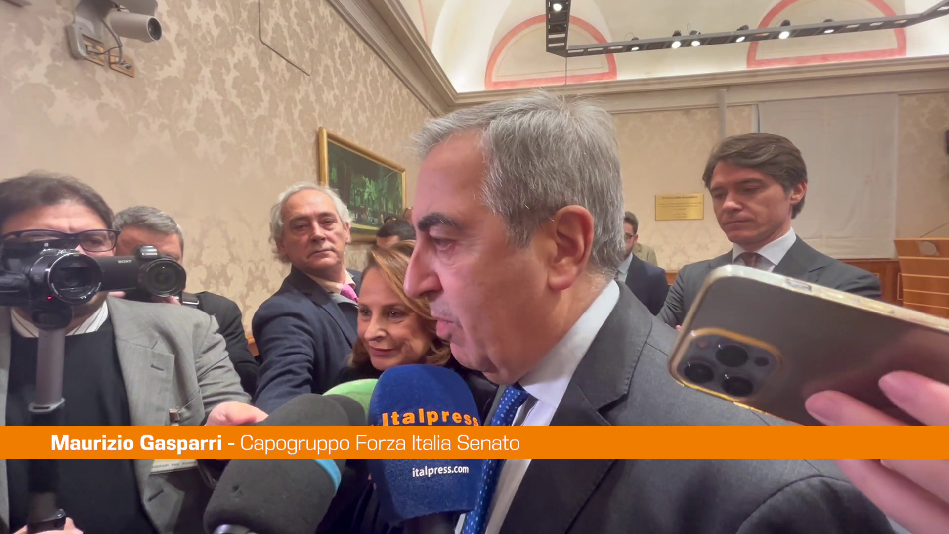 Forza Italia, Gasparri "Si apre stagione congressuale importante ...